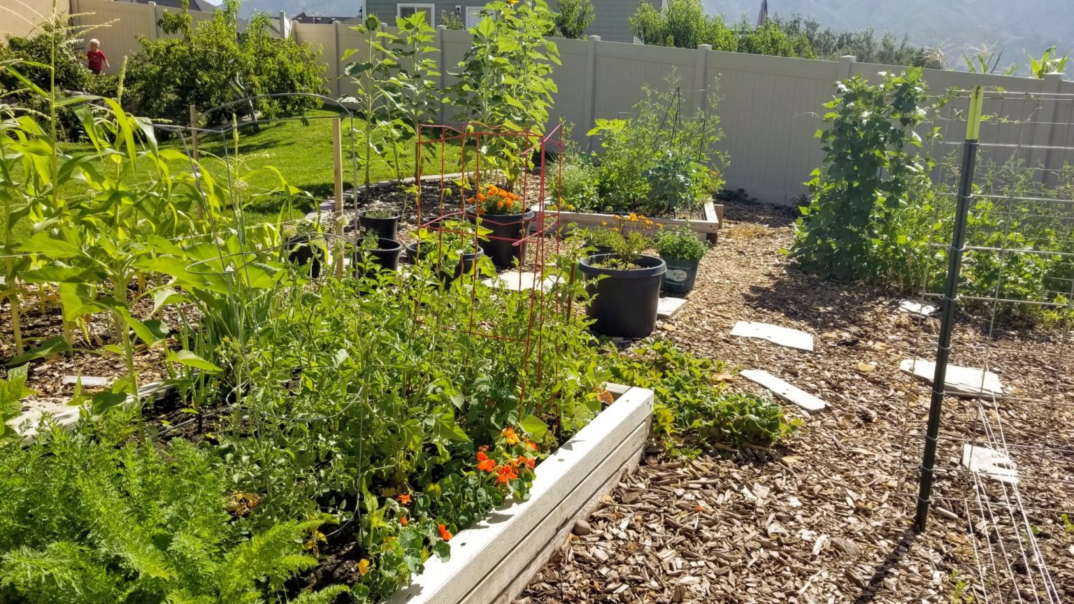 Garden of Eden Gardening Method - Let's Go Hobby